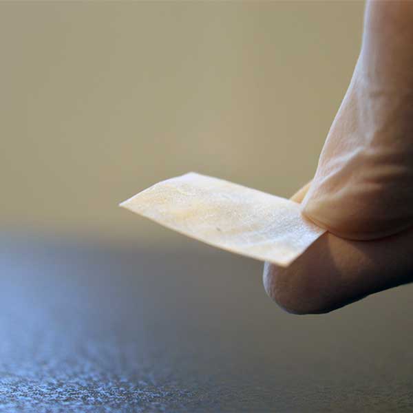 قیمت ممبران دندانپزشکی Ceno Membrane | پیشرودنت